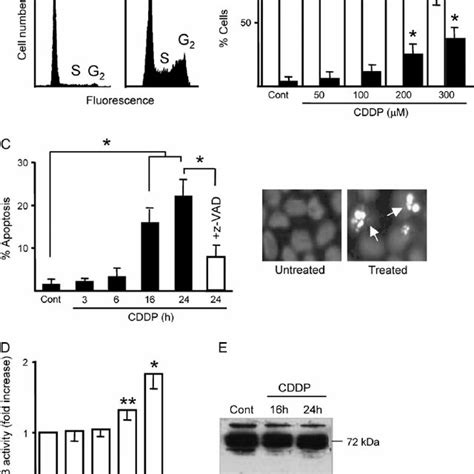 Intracellular Gsh Content A Intracellular Gsh Level As Determined