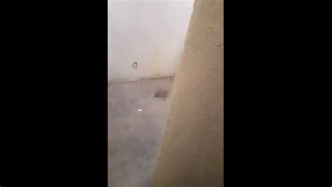 Restroom Cruising Eporner