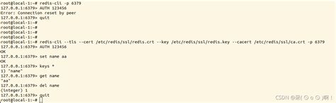 Redis62 使用 Tls 的部署三种高可用模式redis 62版本启用tls认证 Csdn博客