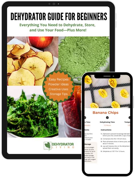 Dehydrator Guide For Beginners Ebook Dehydrator Living