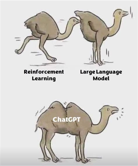 Hahahahaha Point Point Rupesh Malpani