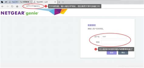 R2s运行openwrt通过frp内网透传插件实现远程访问管理页面查看视频 源码巴士