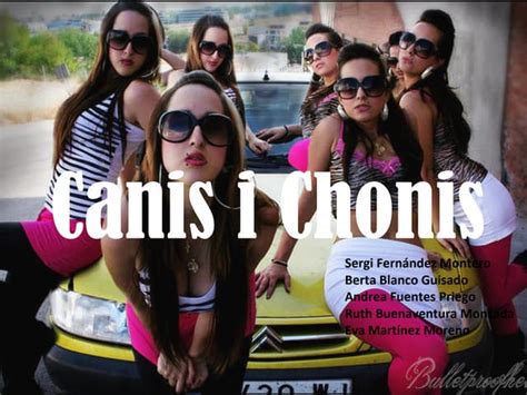 Canis I Chonis Ppt