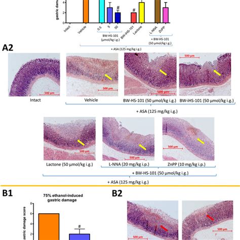 Gastric Mucosal Mrna Expression Of Inducible Nitric Oxide Synthase