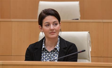 პარტია „მოქალაქეებს“ საპენსიო სესხებზე „ლიბერთი ბანკის“ წინააღმდეგ