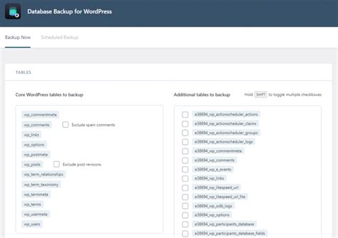 10 Best Wordpress Database Plugins In 2024
