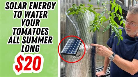 How To Build A Solar Powered Self Watering Gallon Container DIY Sun Wicking Bucket YouTube