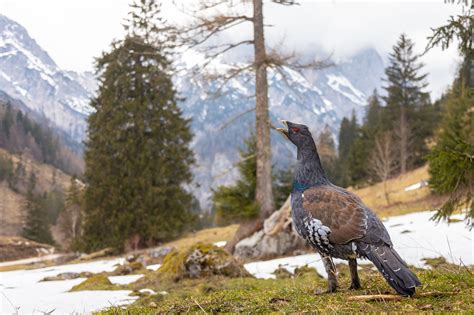 Neugieriger Jungspund Forum für Naturfotografen