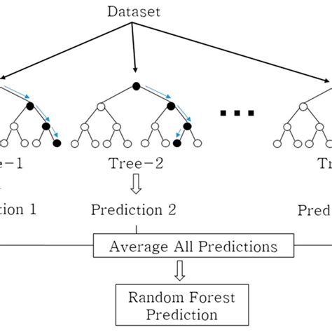 Schematic Diagram Of The Random Forest Algorithm Download Scientific Diagram