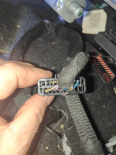 C313 Female Webp Ford Tremor Forum Ford Super Duty