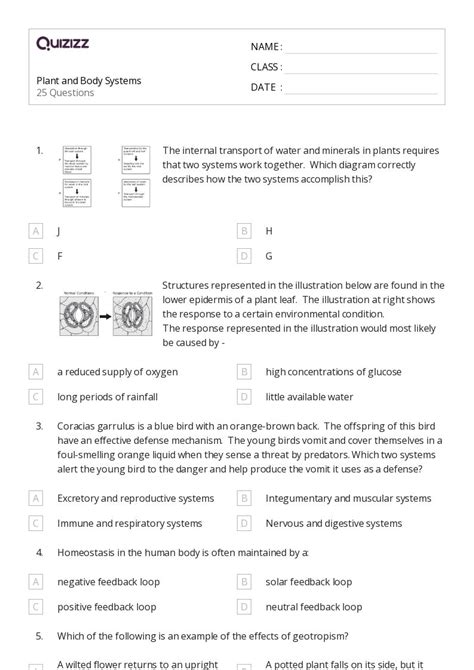 The Nervous And Endocrine Systems Worksheets For Th Grade On