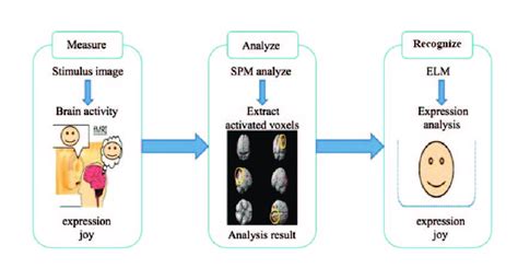 Brain Information Decoding Processes Download Scientific Diagram
