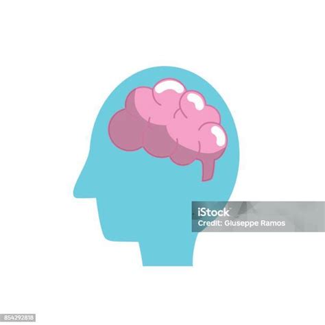 Siluet Sisi Manusia Dengan Otak Anatomi Ilustrasi Stok Unduh Gambar