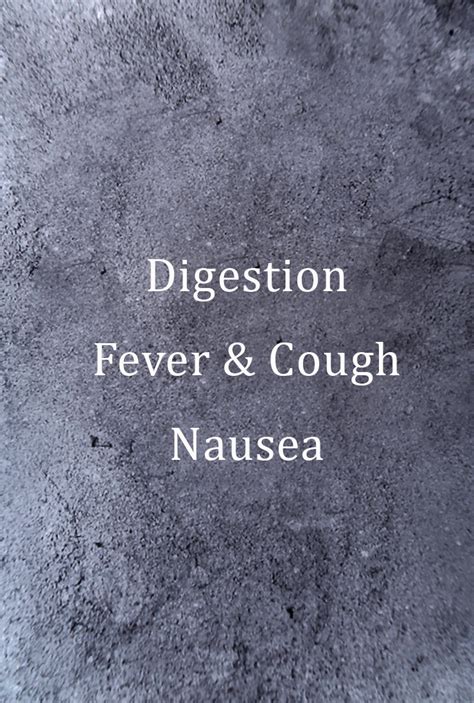 Sweet Peppermint Tea Craftsman Tea