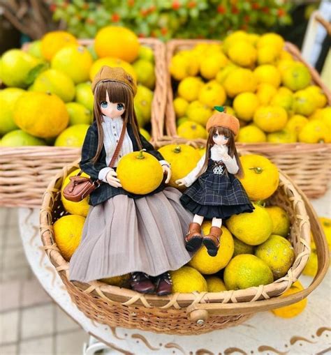 Official Stylist And Photographer Of Azone Dolls By Azoneringo R