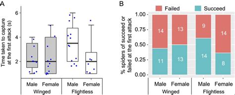 Prey Capture Efficiency Of Male And Female Myrmarachne Gisti Showing Download Scientific