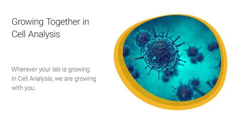 Agilent Cell Analysis On Linkedin Chemical Analysis Life Sciences And Diagnostics Agilent
