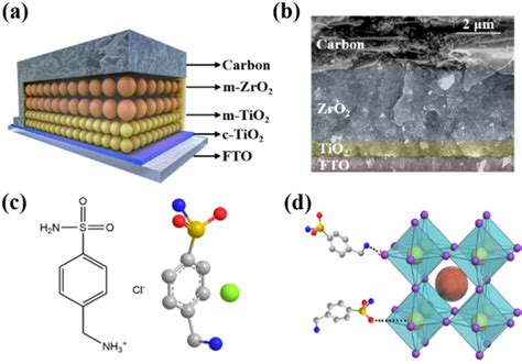 A Schematic Structure Of Mpscs B Cross Sectional Sem Image Of