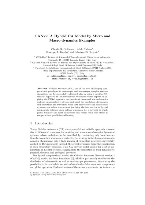 PDF CANv A Hybrid CA Model By Micro And Macro Dynamics Examples