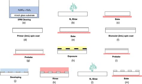 Photolithography Process Of Bioresist Hydrogel On A Glass Substrate