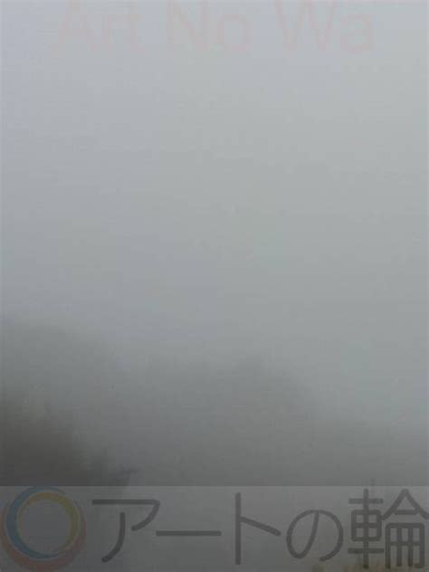 母さん精神病の幻覚みたいに、消えないで アートの輪