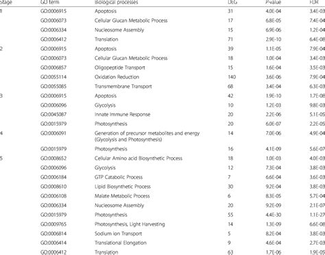 Enriched Gene Ontology Terms Associated With Biological Processes
