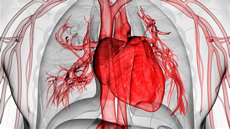 Device Shows Promise Against Tough To Treat Heart Failure Everyday Health