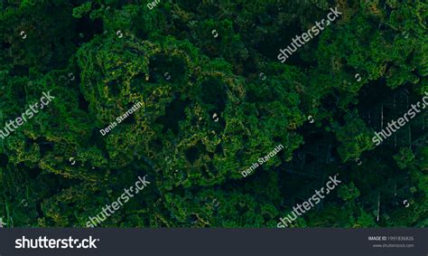 7 Golden Ratio Layout Gardens Images Stock Photos Vectors Shutterstock