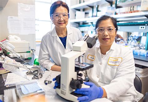 Tb Vaccine Shrinks Liver Cancer Tumors In Mice Mirage News