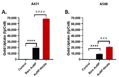 Cellular Uptake Of The Nmab Functionalized Aunps Into Cancer Cells