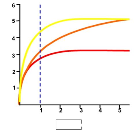 Lung Volumes And Lung Function Testing Flashcards Quizlet