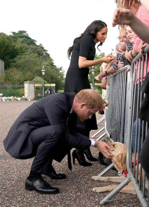 Murió La Reina Isabel Ii Meghan Markle Esposa Del Príncipe Harry