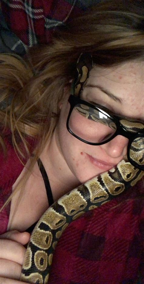 Struggle Of Sneks And Glasses Rballpython