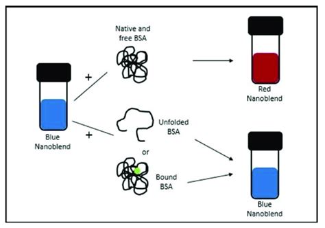 Colorimetric Response Of The L64 Nanosensor To The Different Forms Of