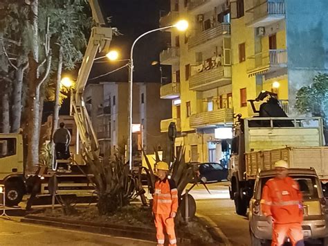 San Marzano Sul Sarno 38 Alberi Abbattuti L Opposizione Chiede Un