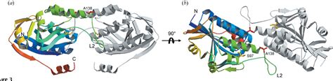 Figure 3 From Diffraction Structural Biology Synchrotron Radiation Novel Dimer Structure Of A