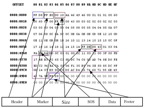 Data Carving Vs File Carving Vs Disk Carving E Tyngej Forensic Innovations Inc