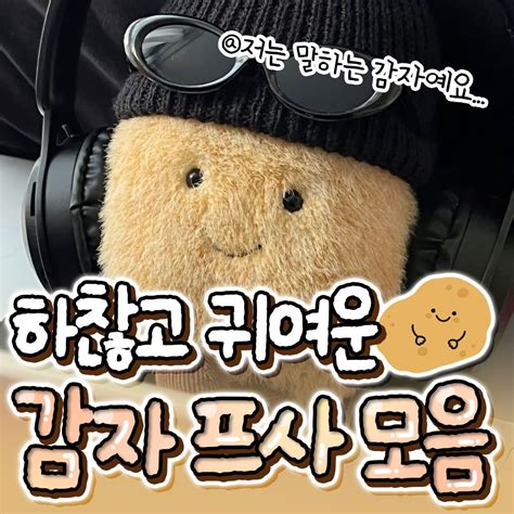 남녀생활백서 🥔하찮고 귀여운 감자 프사 모음🥔 프사하기 딱 좋은 듯 ㅋㅋㅋㅋ 졸귀 ㅠㅠ 교수님 저는 말하는 감자예요 짤모음 감자 감자짤 말하는감자