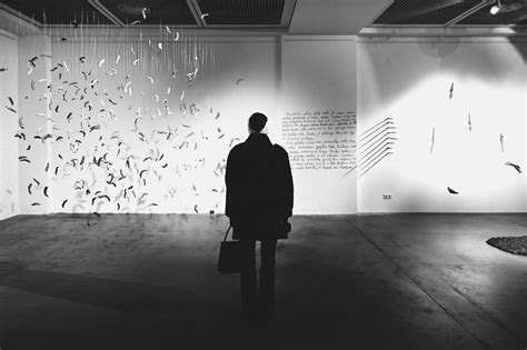 Galerijos Menas Ir Mokslas Vilniaus Dailės Akademija