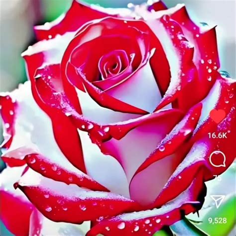 Varun Kumar Vakumar2647 • Threads Say More