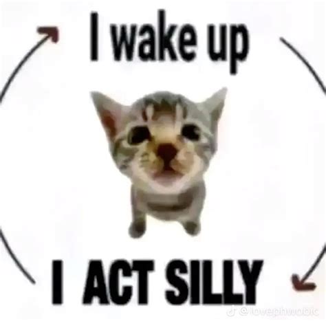 Silly Cat Meme I Wake Up I Act Silly