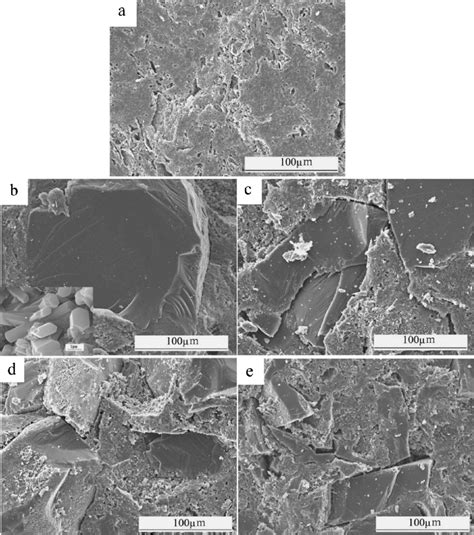 Fracture Surface Microstructure Of Samples With Different Sic Contents Download Scientific