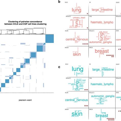 Cell Line Clustering With Ccle Data A Heatmap Clustering With 471 Download Scientific