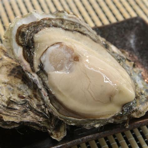 北海道厚岸産 丸牡蠣まるえもん新鮮な牡蠣の通販専門店旨い牡蠣屋