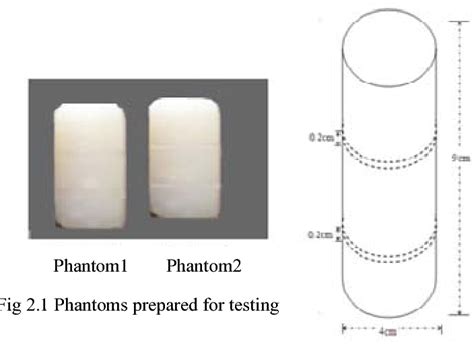 Figure 21 From Non Invasive Abnormality Detection In Tissue Optical