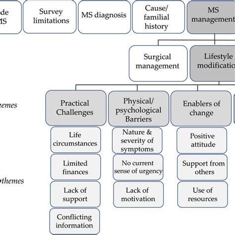Schematic Of The Qualitative Analysis Process Download Scientific Diagram