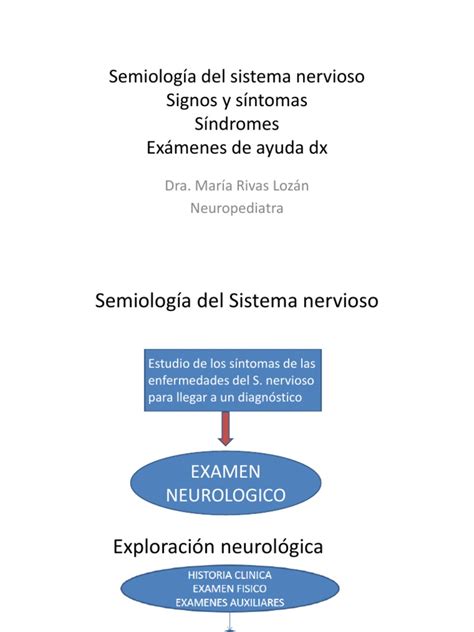 Semiología Del Sistema Nervioso Parte 1 Recuperado Pdf Epilepsia