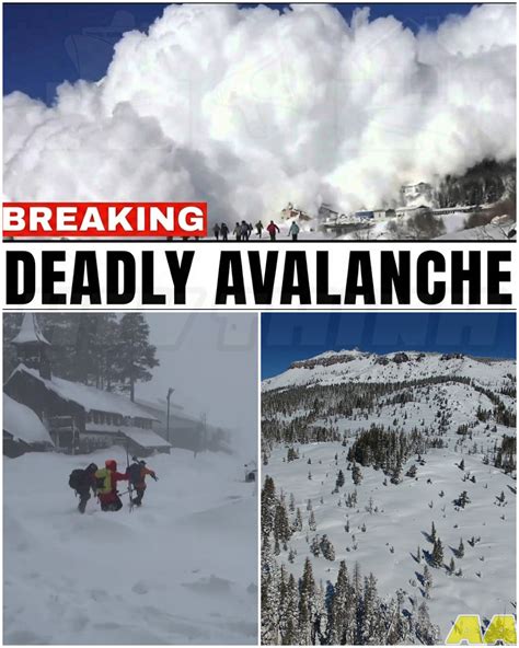 Deadliest Avalanche In 45 Years Kills Eight Near Lake Tahoe One Still