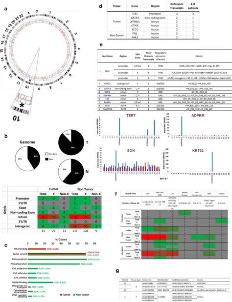 Comprehensive Analysis Of Transcriptome Profiles In Hepatocellular