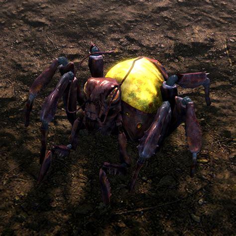 Demented Elytra Nymph Elder Scrolls Fandom